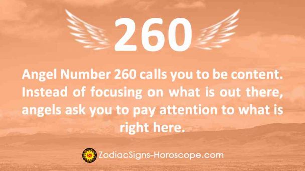 Angel Number 260 Meaning: Enlightened Living | 260 Angel Number | ZSH