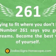 Angel Number 269 Meaning: Power of Choice | 269 Angel Number | ZSH