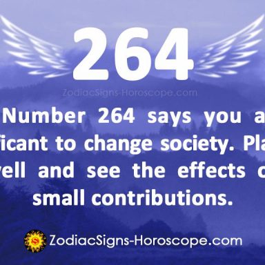 Angel Number 263 Meaning: Family Connections | 263 Angel Number