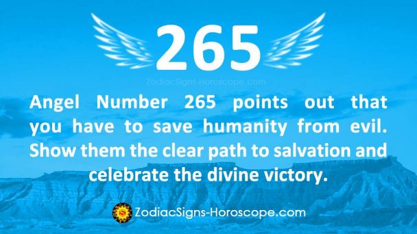 Angel Number 265 Meaning: Fulfill Your Mission | 265 Angel Number | ZSH