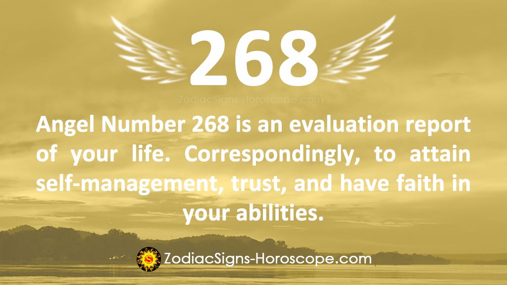 Angel Number 268 Meaning: Self Management | 268 Angel Number | ZSH