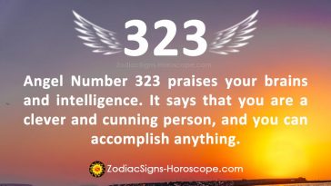 Angel Number 323 Meaning: You're Clever - ZodiacSigns-Horoscope.com