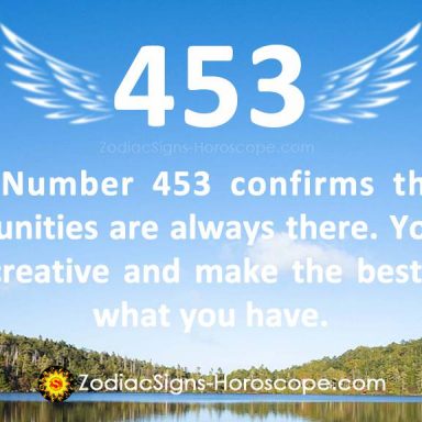 Angel Number 452 Meaning: Adaptability In Life | 452 Angel Number