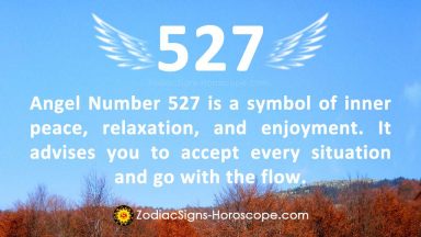 Angel Number 527 Meaning: The Flow - ZodiacSigns-Horoscope.com