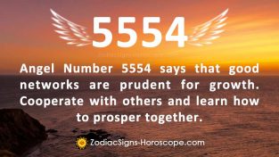 Angel Number 5554 Meaning: Cooperate and Learn | 5554 Angel Number