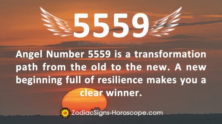 Angel Number 5559 Meaning: Old Versus New | 5559 Angel Number | ZSH