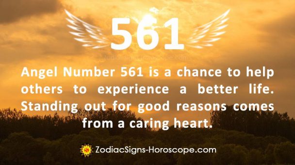 Angel Number 561 Meaning: Stand Out and Shine | 561 Angel Number