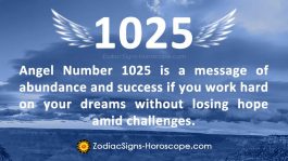 Angel Number 1025 Meaning: Hard Work | 1025 Numerology