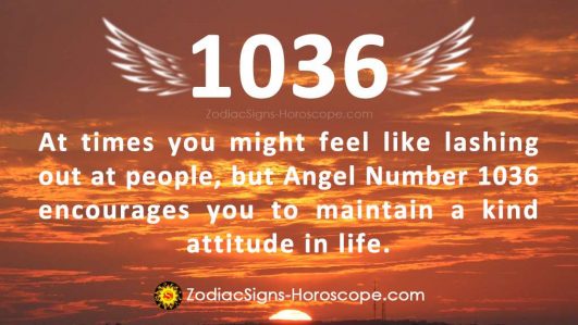 Angel Number 1036 Meaning: Kind Attitude | 1036 Numerology