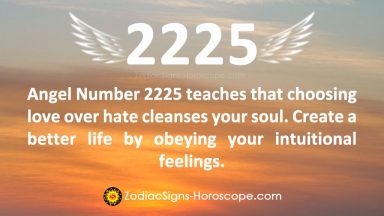 Angel Number 2225 Meaning: Choose Love - ZodiacSigns-Horoscope.com