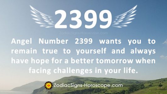 Angel Number 2399 Meaning: Be Hopeful | 2399 Numerology