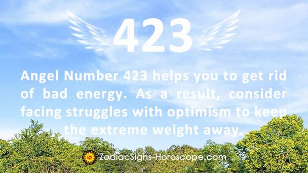 Angel Number 423 Meaning: Focused Mindset | 423 Numerology