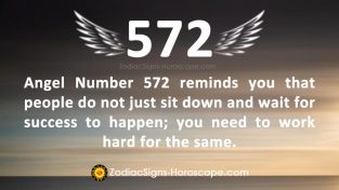 Angel Number 572 Meaning: Work Hard | 572 Numerology
