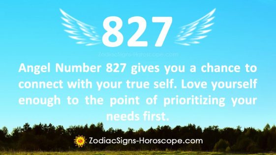 Angel Number 827 Meaning: Raise Your Bar | 827 Spiritual Significance