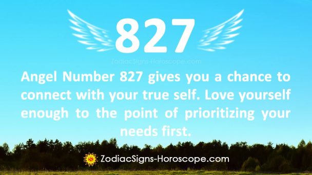 エンジェルナンバー827意味：バーを上げる| 827精神的な重要性