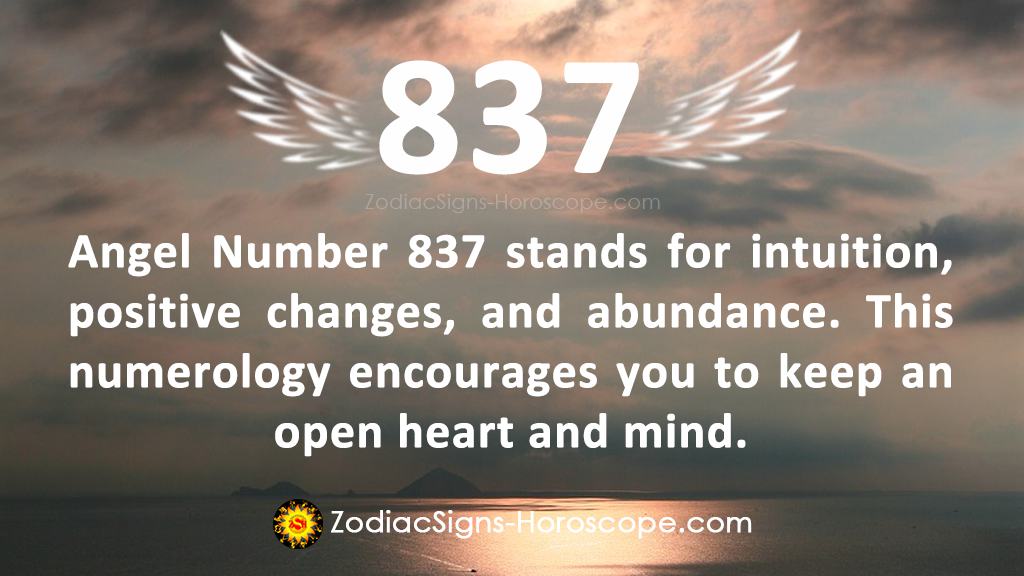 Angel Number 837 Meaning: Taking Risks | 837 Numerology