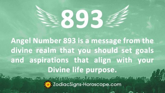 Angel Number 893 Meaning: Life Purpose | 893 Numerology