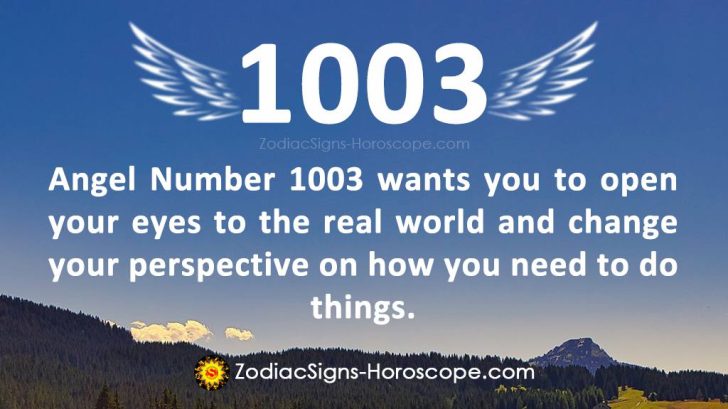 Angel Number 1003 Meaning: Be Confident | 1003 Numerology