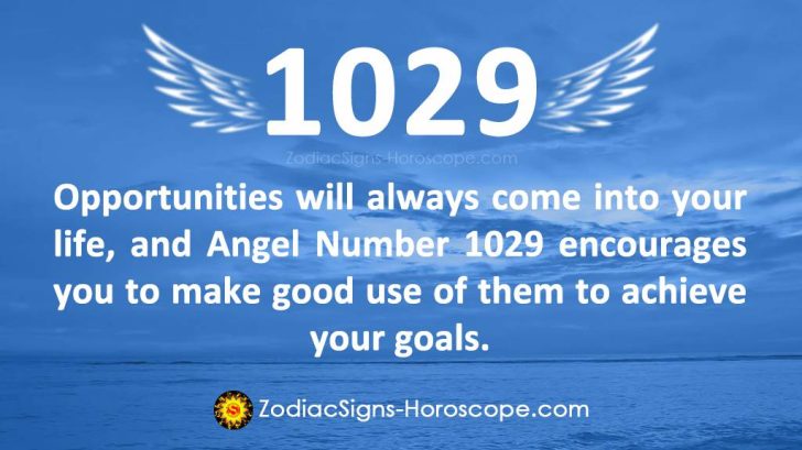 Angel Number 1029 Meaning: Opportunities | 1029 Numerology