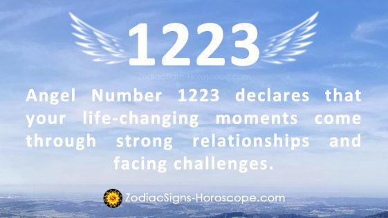 Angel Number 1223 Meaning: Friends | 1223 Numerology