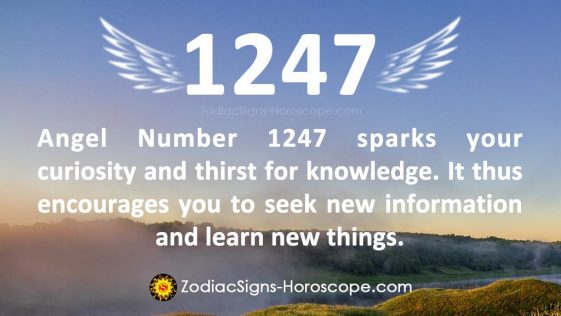 Angel Number 1247 Meaning: More Information | 1247 Numerology