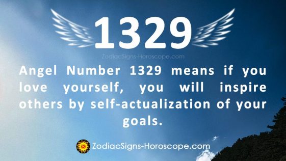 Angel Number 1329 Meaning: Actualization | 1329 Numerology