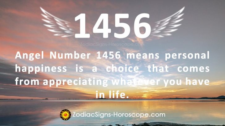 Angel Number 1456 Meaning: Celebrate | 1456 Numerology
