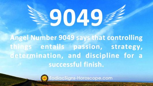 Angel Number 9049 Meaning: Take Charge | 9049 Numerology