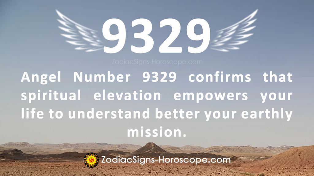 Angel Number 9329 Meaning: Elevation | 9329 Numerology