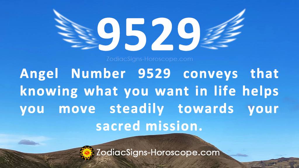 Angel Number 9529 Meaning: Calmness | 9529 Numerology