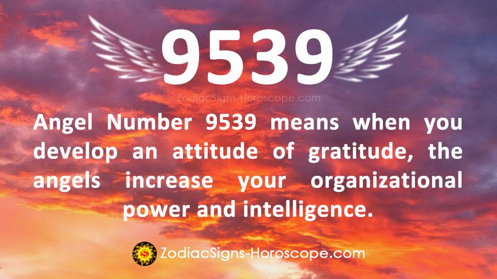 Angel Number 9539 Meaning: Organization | 9539 Numerology