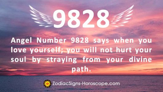 Seeing 9828 Angel Number Meaning and Symbolism | 9828 Twin Flame