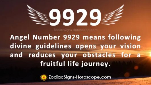 Angel Number 9929 Meaning: Cooperation | 9929 Numerology