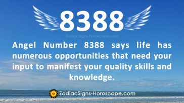 Angel Number 9009 Meaning: The Divine Nature of Angels in Our Lives