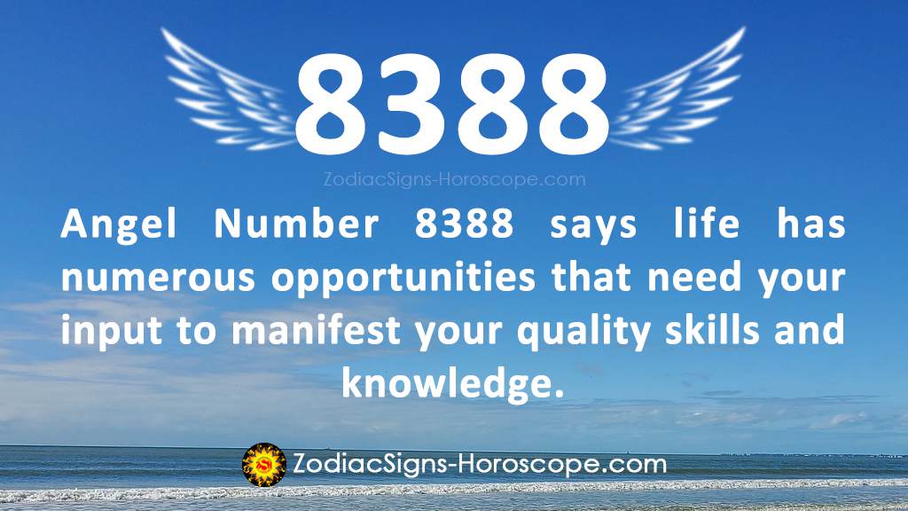 Angel Number 8388 Meaning and Significance Says Do Not Compromise
