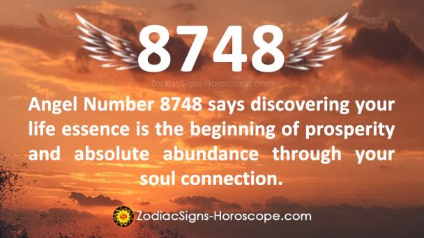 Essence of Angel Number 8748 Spiritually is Soul Connection
