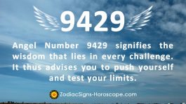 Angel Number 95 Meaning: Hoping for the Best | 95 Angel Number | ZSH