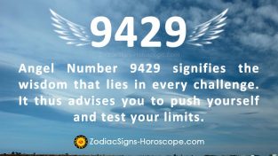 Angel Number 95 Meaning: Hoping for the Best | 95 Angel Number | ZSH