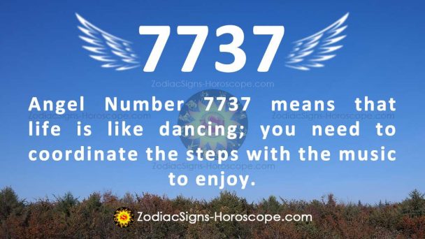 Seeing Angel Number 7737 Significance and Essence: Focus on Yourself