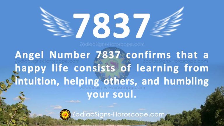 Angel Number 8800 Meaning: A Message of Hope and Prosperity | ZSH