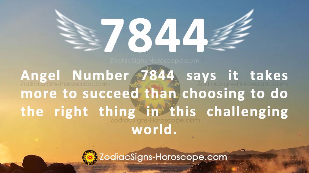 Real Angel Number 7844 Influence: Valid Choices | 7844 Twin Flames
