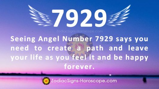 Seeing Angel Number 7929 Meaning and Essence: Be Happy | 7929 Twin