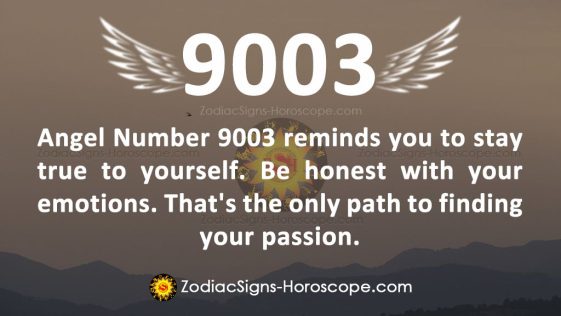 Angel Number 1235 - A Message of Clarity in Challenging Times | ZSH