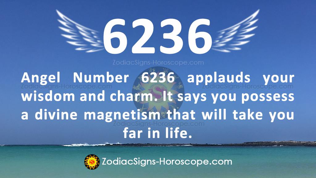 Angel Number 6236 Signifies Your Divine Wisdom and Charm | 6236 Twin