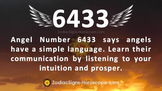 Angel Number 46 is Bringing You Beautiful Beginnings in Life | ZSH