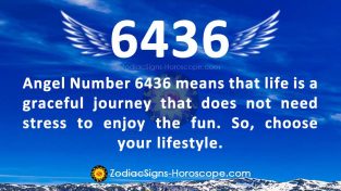 Angel Number 4488 says Your Life is about to Change for the Better | ZSH