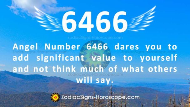 Spiritual Essence and Meaning of Angel Number 6466: Add Value