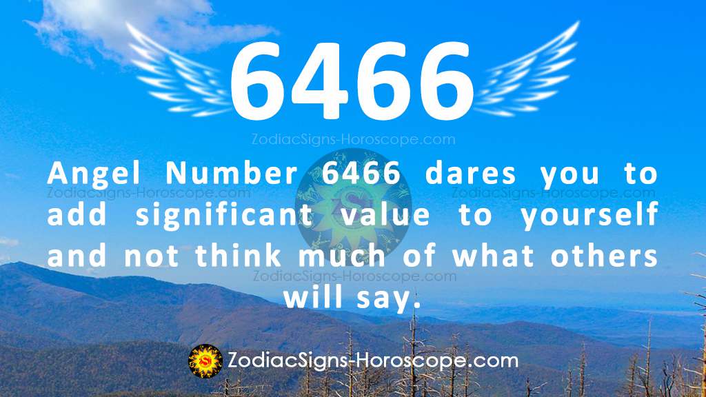 Spiritual Essence and Meaning of Angel Number 6466: Add Value