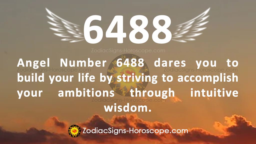 Life Essence of Angel Number 6488: Power and Abundance | 6488 Twin