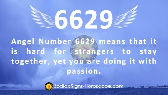 Angel Number 9966 says Nothing is more Important than Family | ZSH